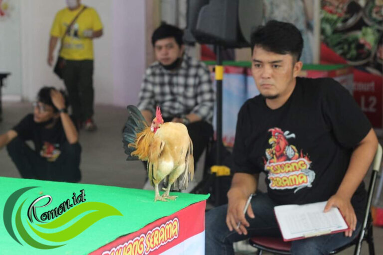 Mengenal Ayam Serama si Kecil Sombong Berharga Mahal - Media Hobi dan ...