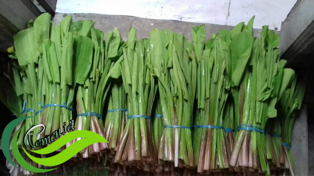 Genjer Tanaman Gulma yang Manfaatnya Tidak Kalah dari Sayuran Hijau ...