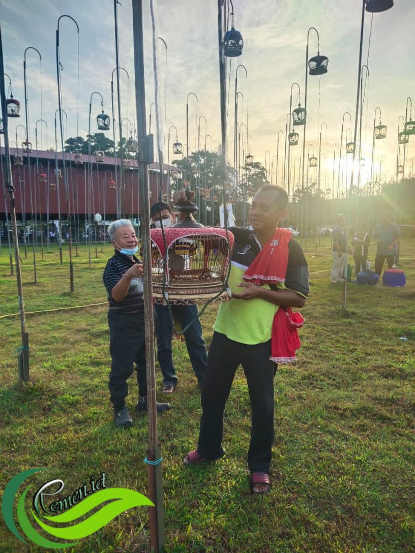 Singapore Milik En Edy dari Klang Selangor Terbaik di Pertandingan Seni ...