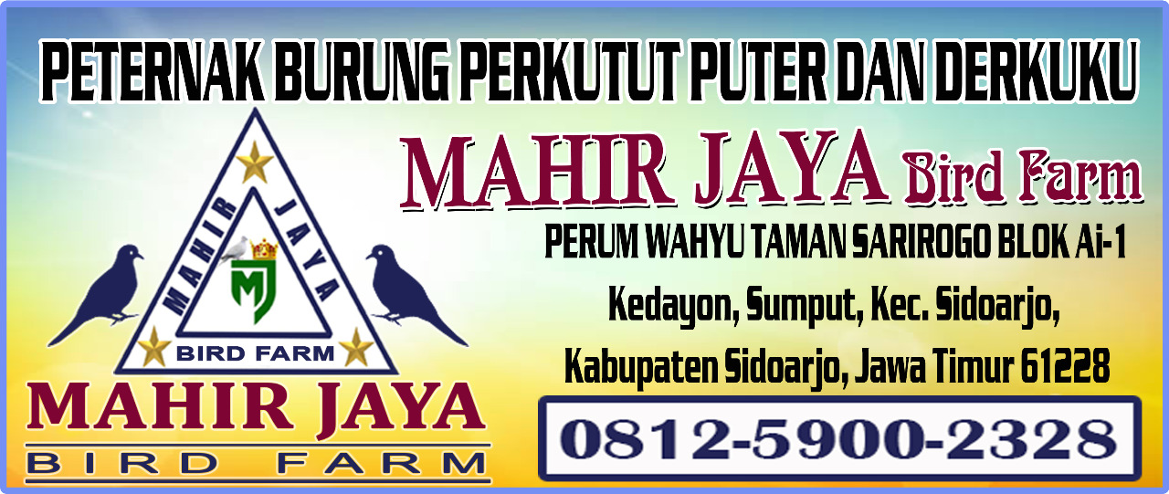 Mengkudu, Berbau Menyengat Bergizi Lengkap dan Berkhasiat Obat - Media ...