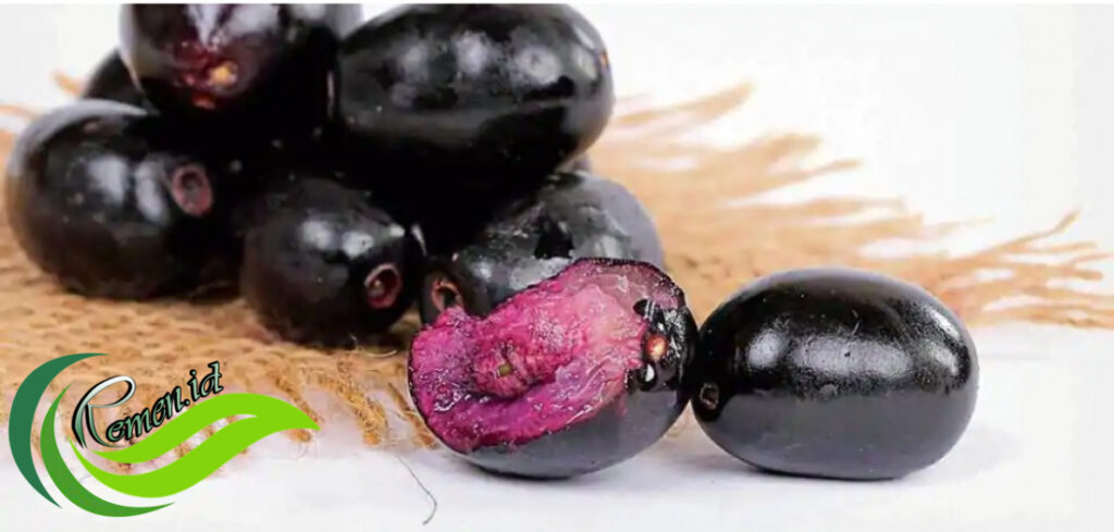 Jamblang, Buah Mirip Anggur yang Mulai Langka yang Banyak Manfaatnya ...