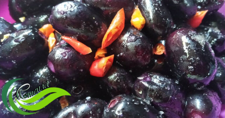 Jamblang, Buah Mirip Anggur yang Mulai Langka yang Banyak Manfaatnya ...