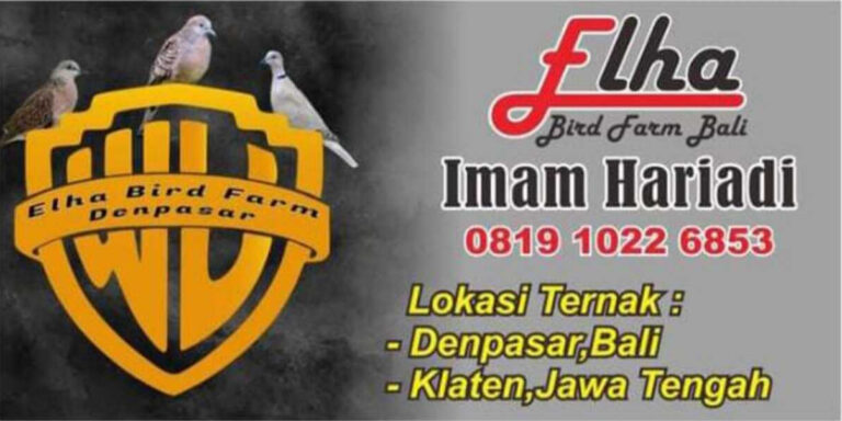 Burung Kuau Raja, si Raksasa Bermata Seratus yang Terancam Punah ...