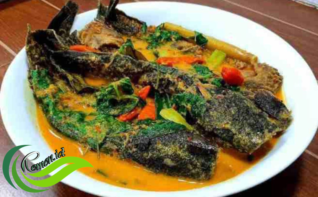 Ikan Lele, Salah Satu Jenis Ikan Air Tawar yang Paling Digemari ...