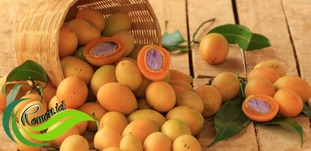 Gandaria, Buah Eksotis yang Kaya Manfaat - Media Hobi dan Informasi