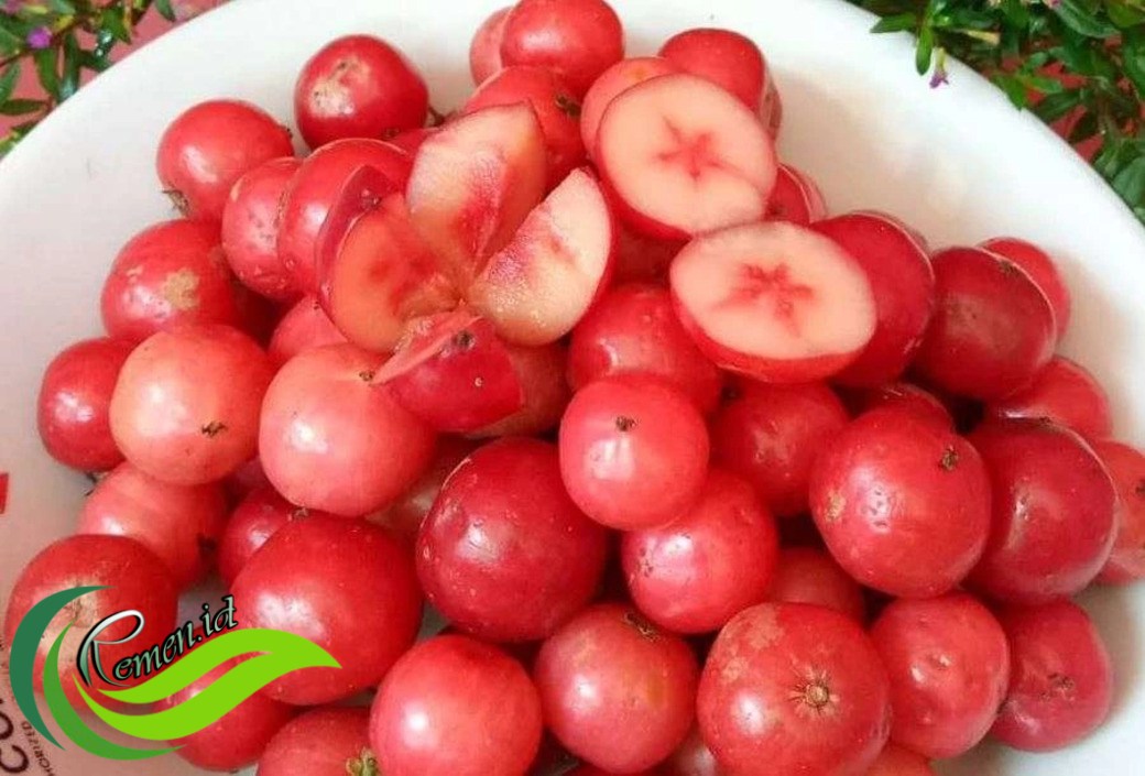 Buah-buah Langka Nusantara yang Kian Sulit Ditemukan - Media Hobi dan ...