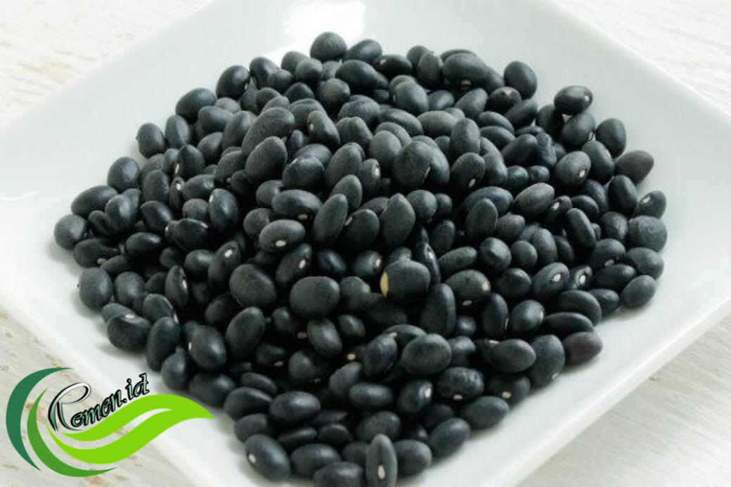 Kedelai, Tanaman Pangan Sumber Protein Nabati yang Lengkap - Media ...