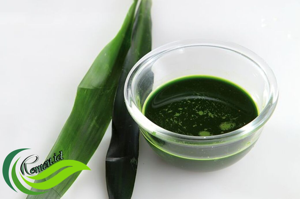 Daun Suji, Pewarna Alami Makanan yang Kaya Manfaat untuk Kesehatan ...