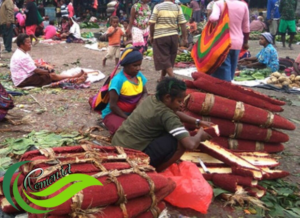 Buah Merah, Tumbuhan Endemik Papua yang Punya Khasiat Luar Biasa ...