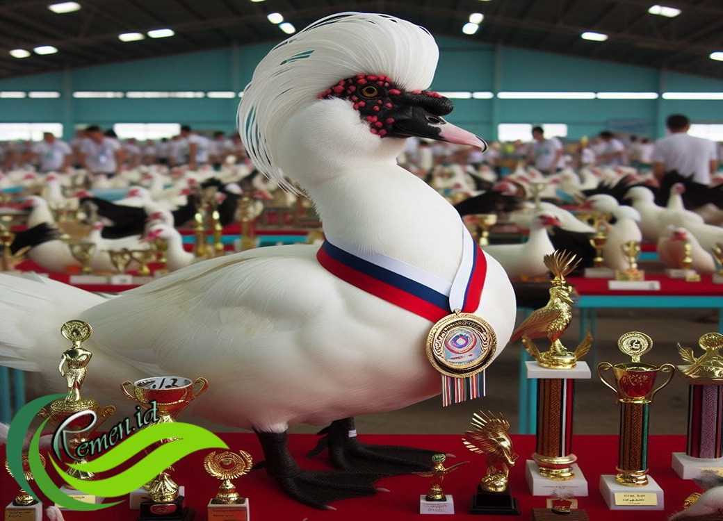 Kontes Entok Nasional Gunung Kendeng Blora 2024, Persaingan Jawara ...