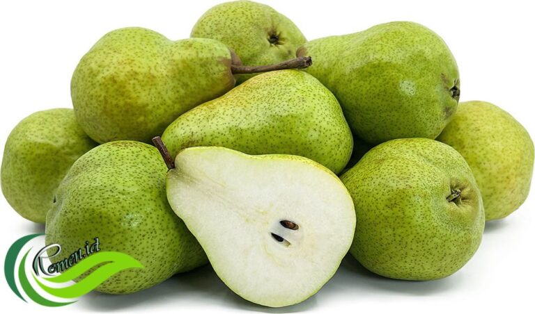 Pir, Tanaman Buah yang Telah Dimanfaatkan sebagai Makanan Sejak Masa ...
