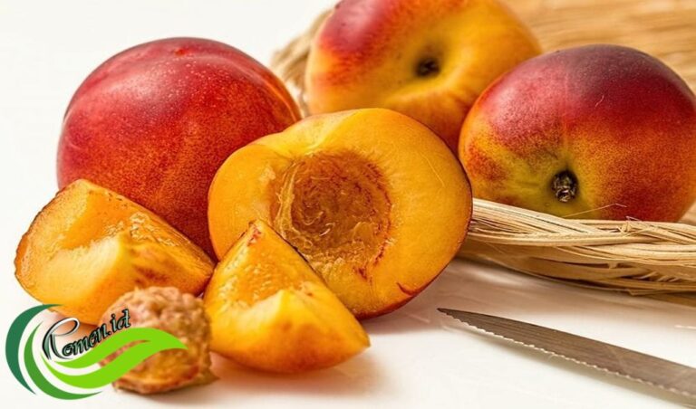 Persik, Buah Subtropika yang Rasanya Manis Segar dan Penuh Khasiat ...