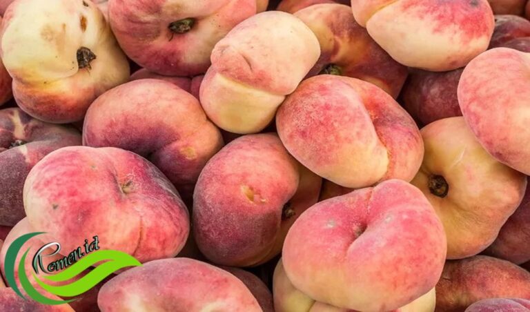 Persik, Buah Subtropika yang Rasanya Manis Segar dan Penuh Khasiat ...