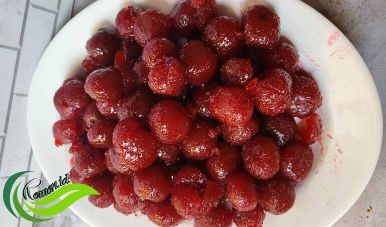 Malaka, Buah Mirip Cermai yang Mempunyai Manfaat Luar Biasa untuk ...