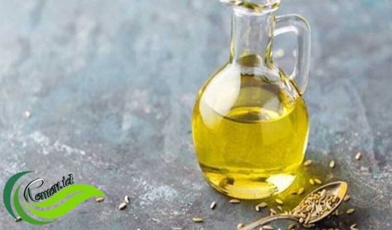 Adas, Tumbuhan Herba dengan Berjuta Manfaat - Media Hobi dan Informasi