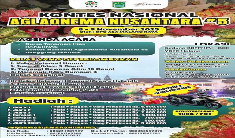 Bunga Camelia, Si Cantik yang Miliki Berbagai Manfaat - Media Hobi dan ...